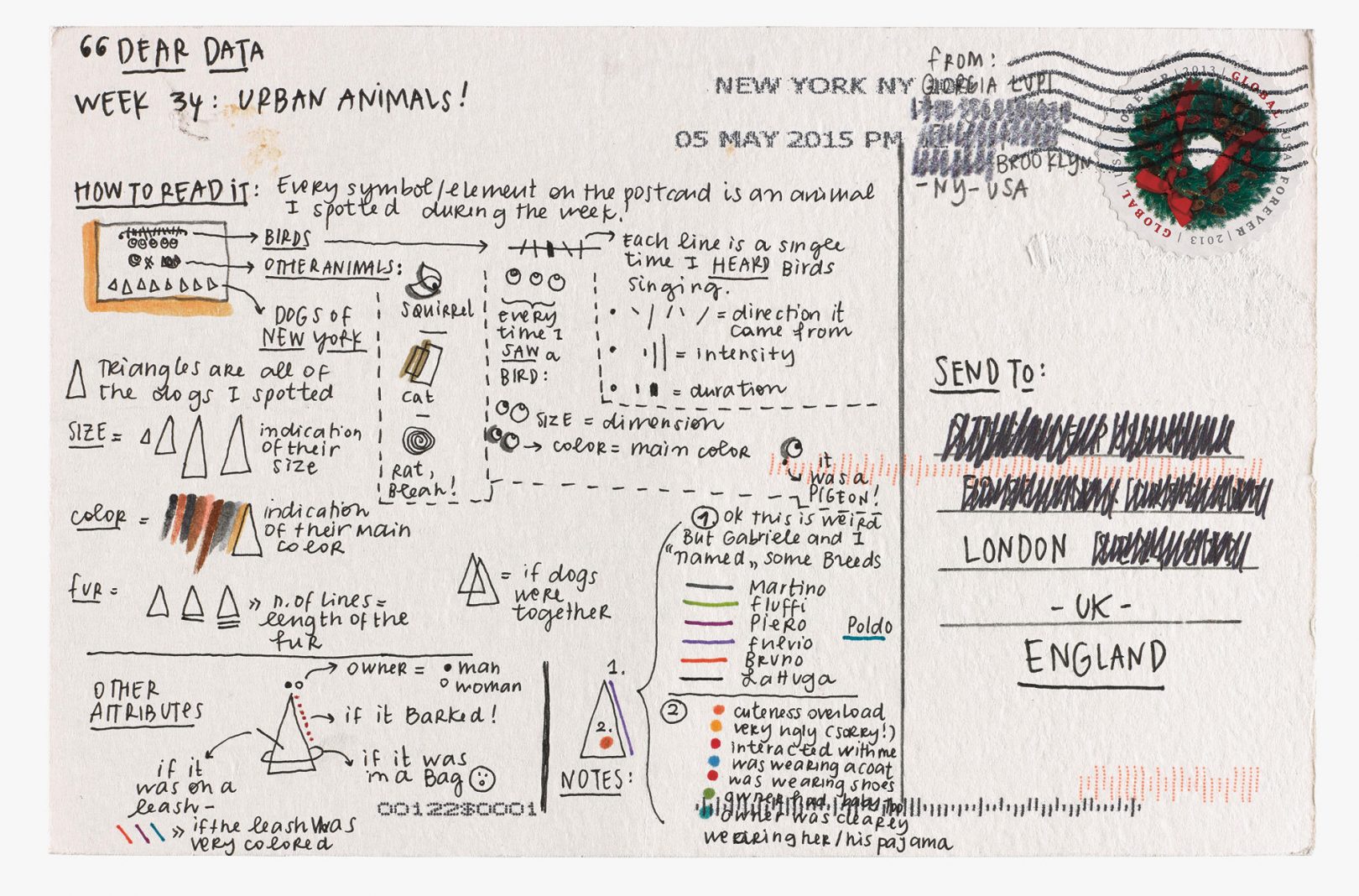 Dear Data：两个设计师的秘密书信 – Malt 麦芽